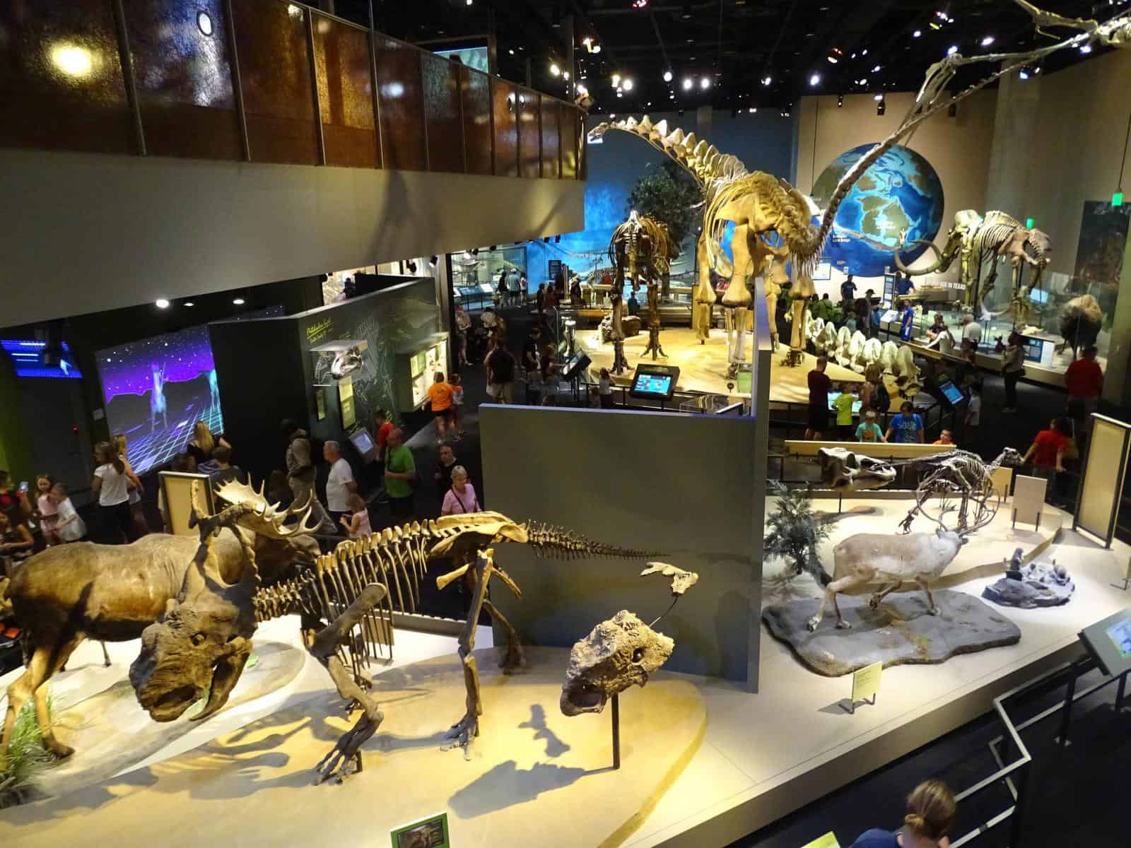 Perot Museum of Nature and Science in Dallas, Texas - Coast2CoastWithKids