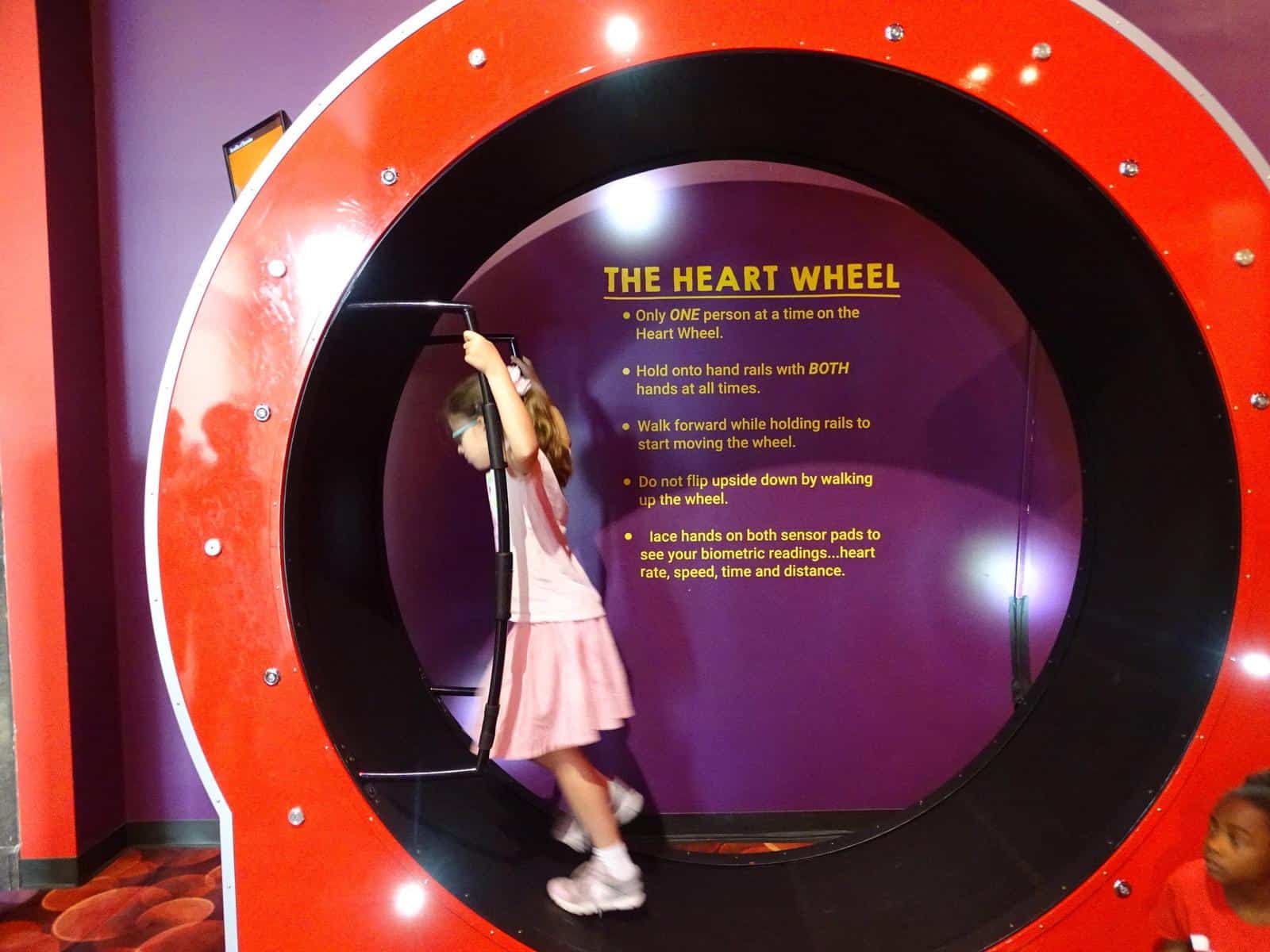 The Health Museum in Houston, Texas - Coast2CoastWithKids