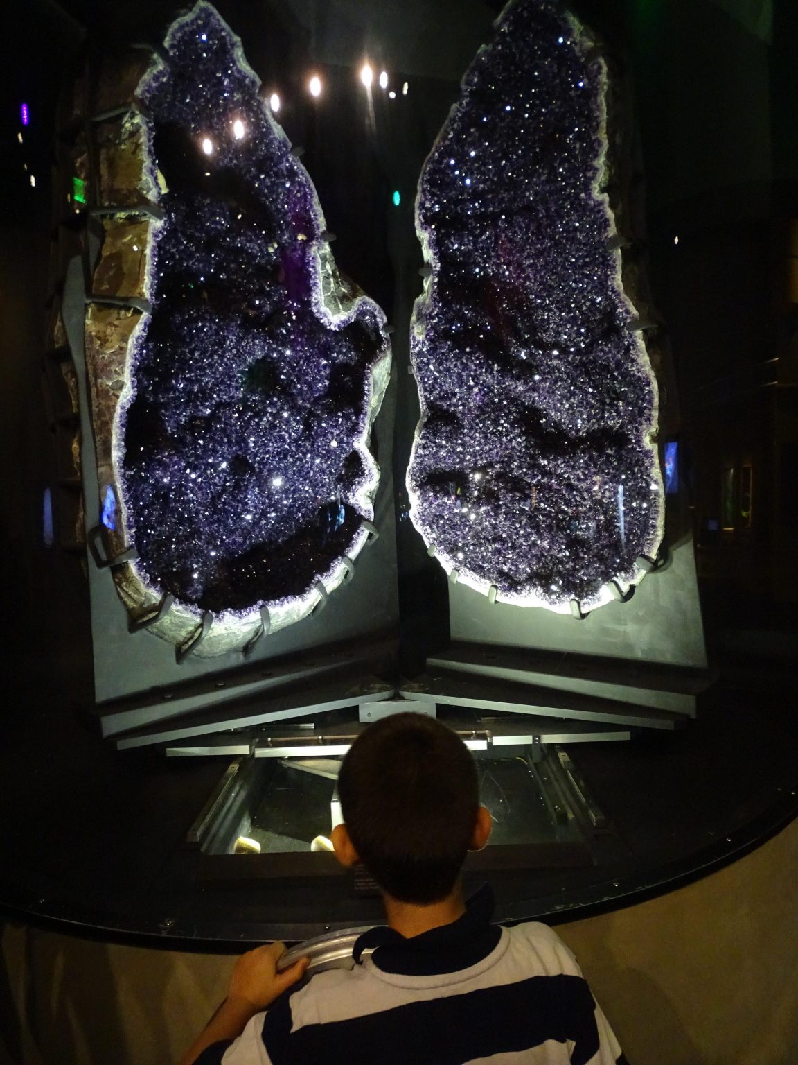 Perot Museum of Nature and Science in Dallas, Texas - Coast2CoastWithKids