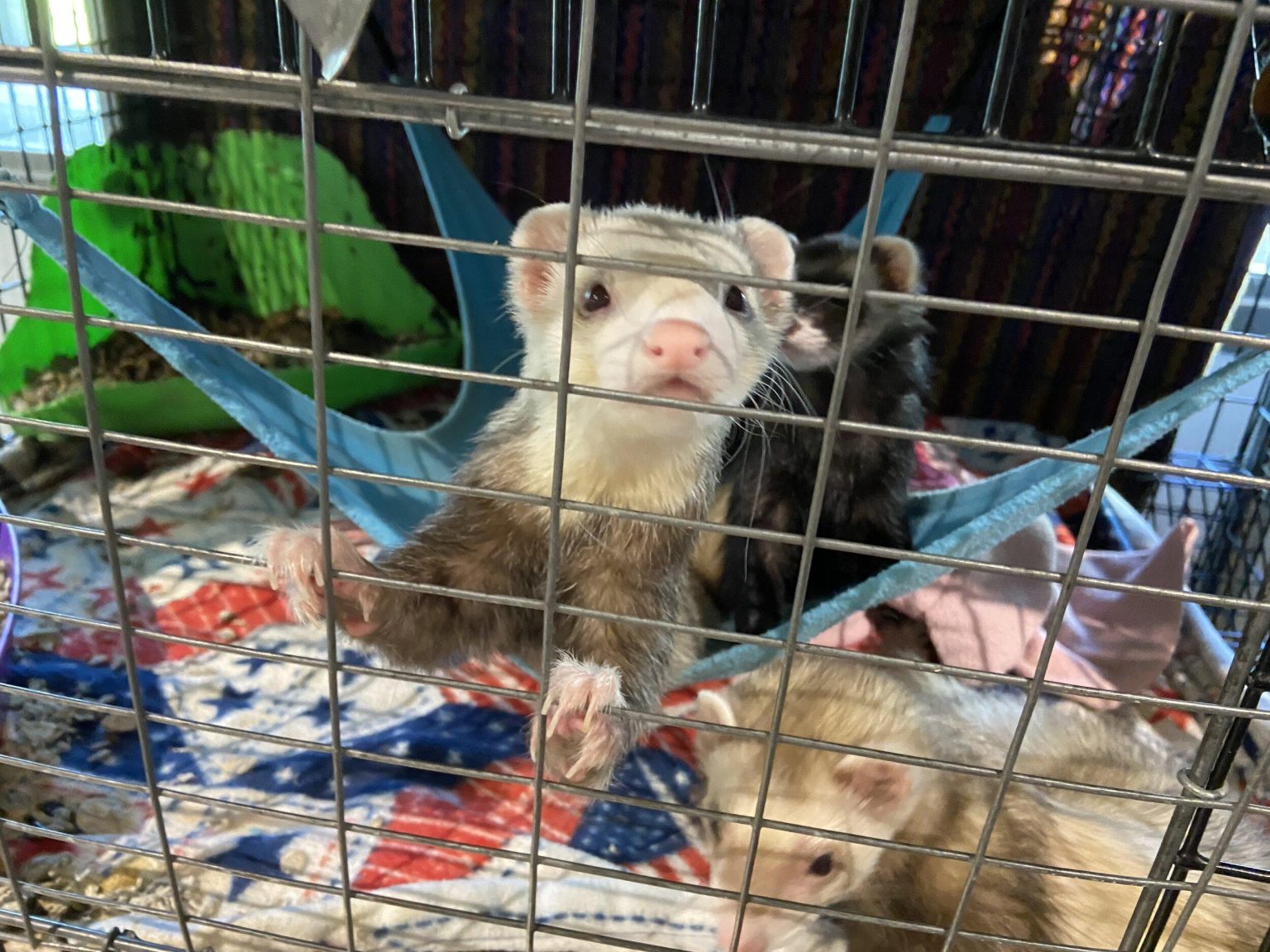 10 Things to Do at Earthplace in Westport, Connecticut ...