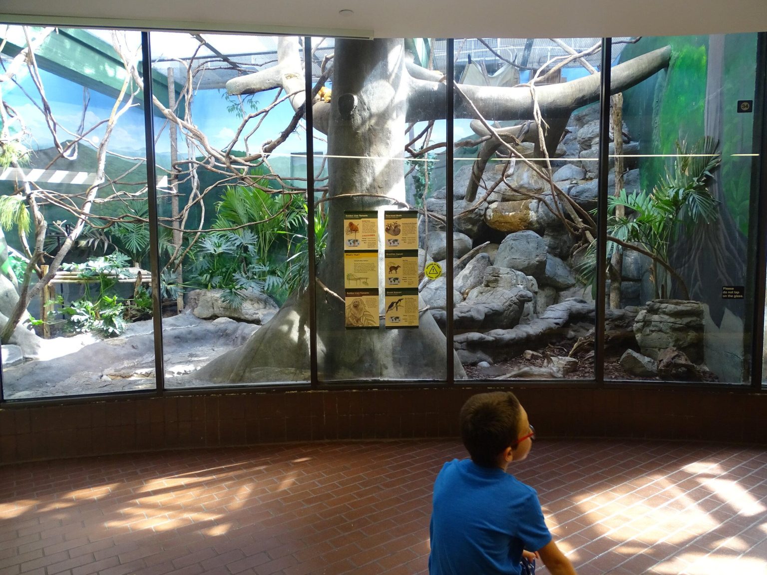 Exploring the National Zoo in Washington D.C. - Coast2CoastWithKids