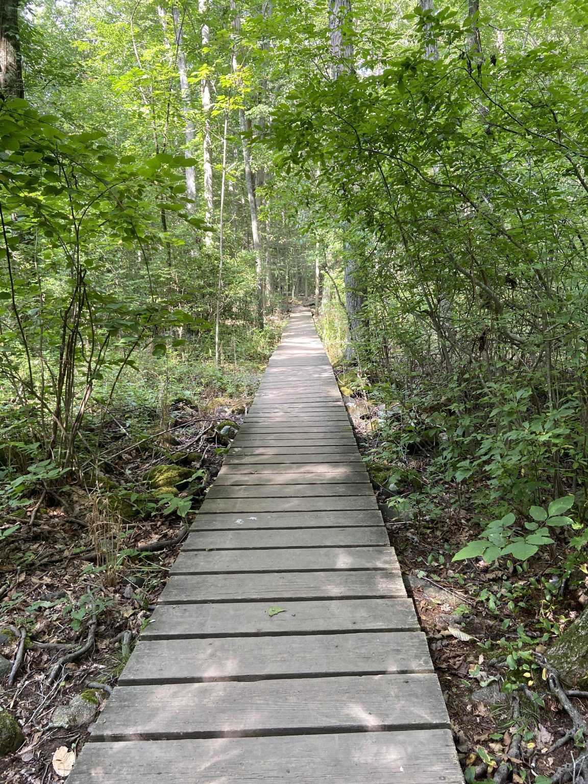 10 Family Friendly Hiking Spots in Fairfield County, Connecticut ...