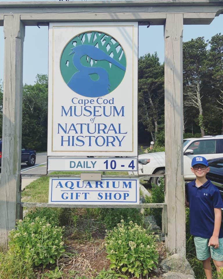 10 Things to Do at the Cape Cod Museum of Natural History ...