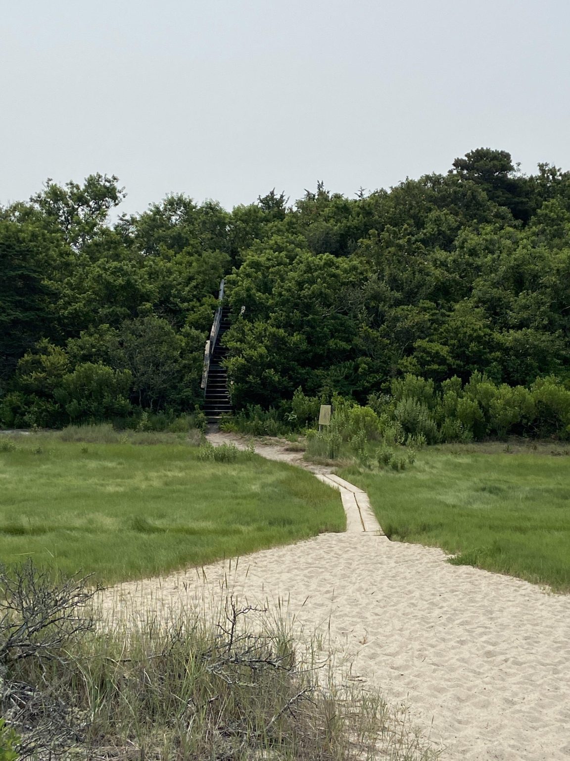 10 Things to Do at the Cape Cod Museum of Natural History ...