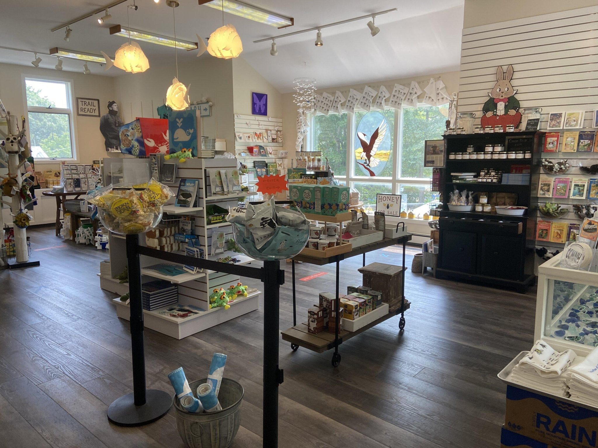 10 Things to Do at the Cape Cod Museum of Natural History ...