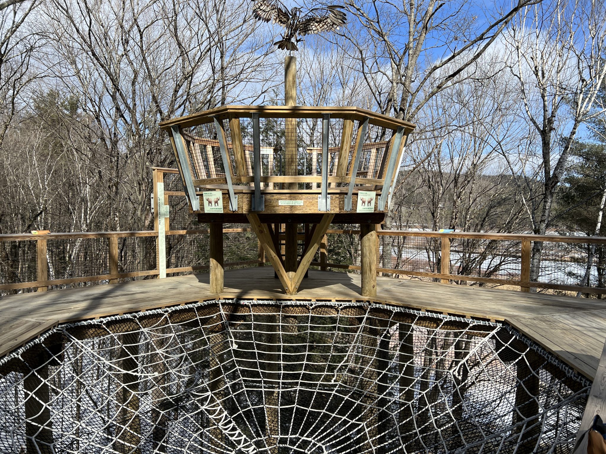 10 Ways to Have Fun at the Vermont Institute of Natural Science in ...