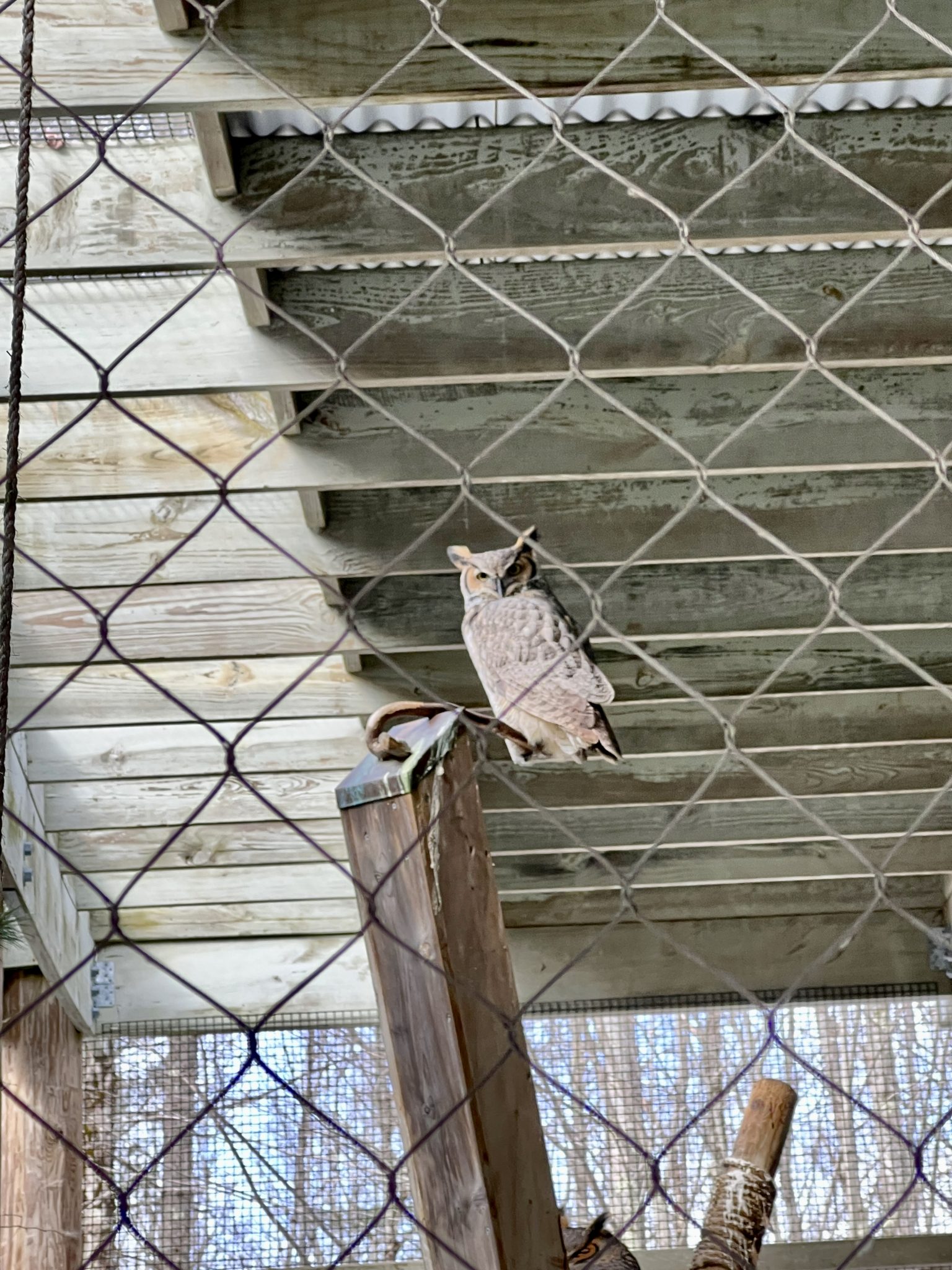 10 Ways to Have Fun at the Vermont Institute of Natural Science in ...