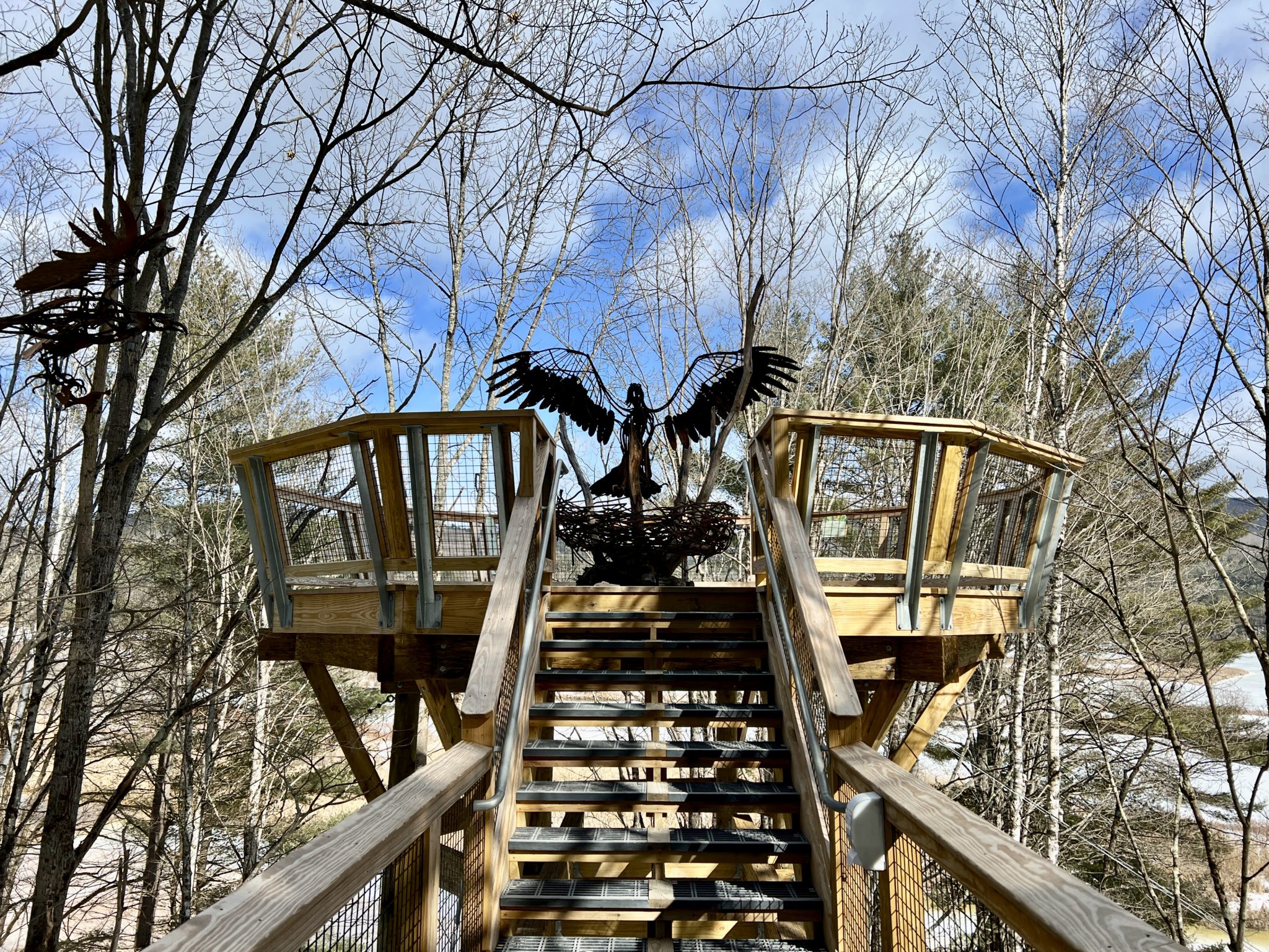 10 Ways to Have Fun at the Vermont Institute of Natural Science in ...