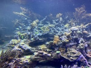 10 Ways to Explore the Long Island Aquarium in New York ...