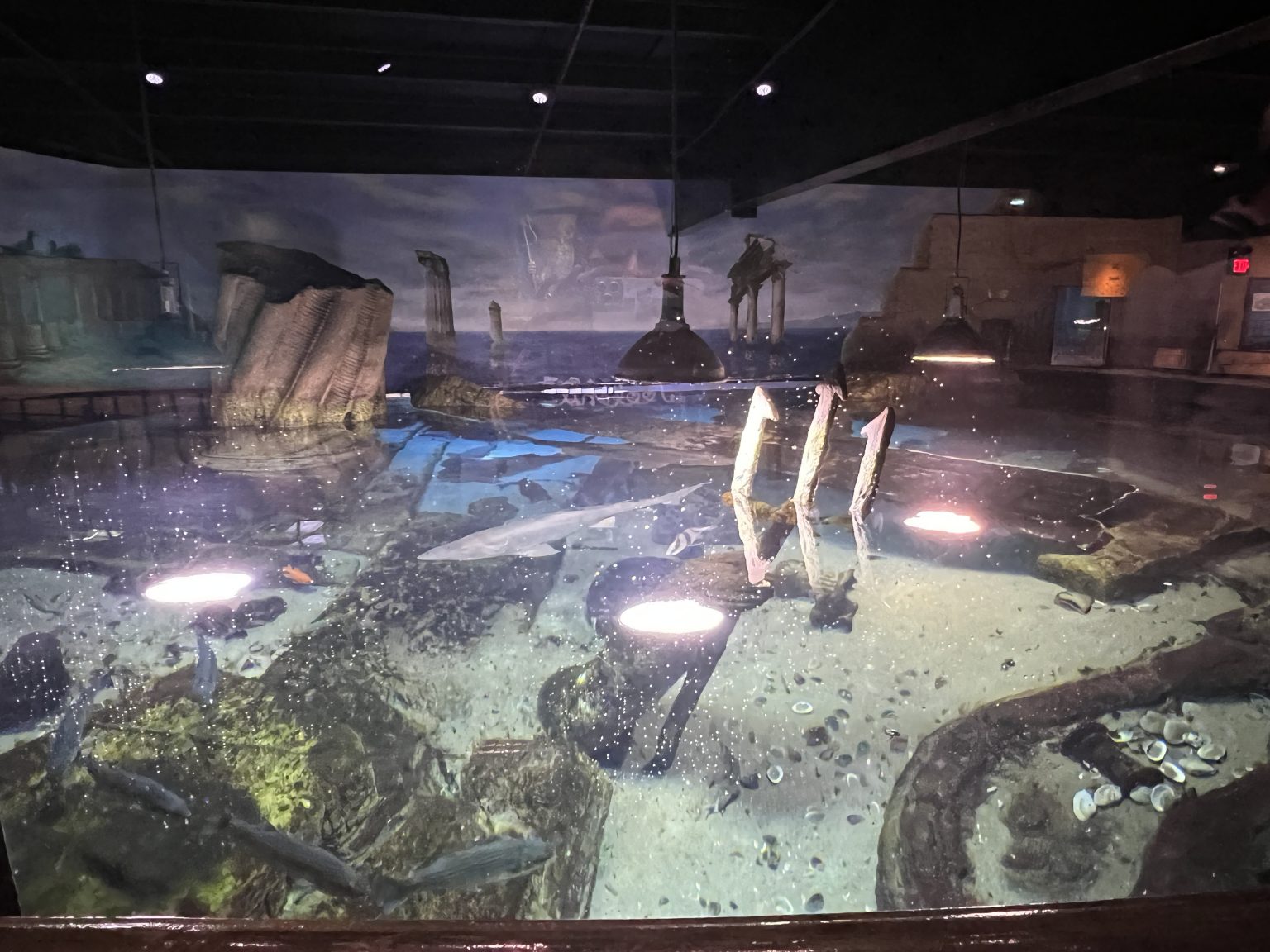 10 Ways to Explore the Long Island Aquarium in New York ...