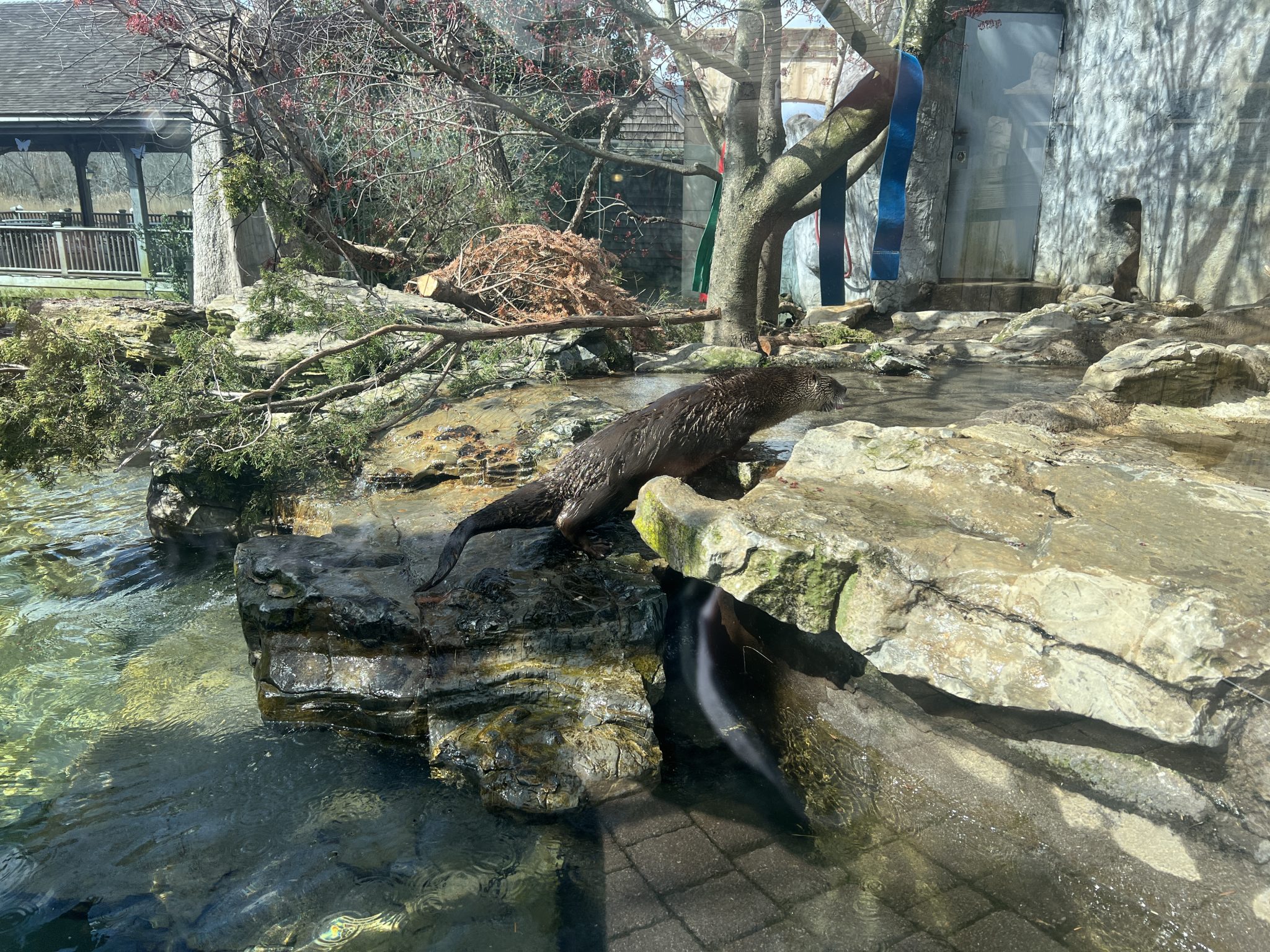 10 Ways to Explore the Long Island Aquarium in New York ...