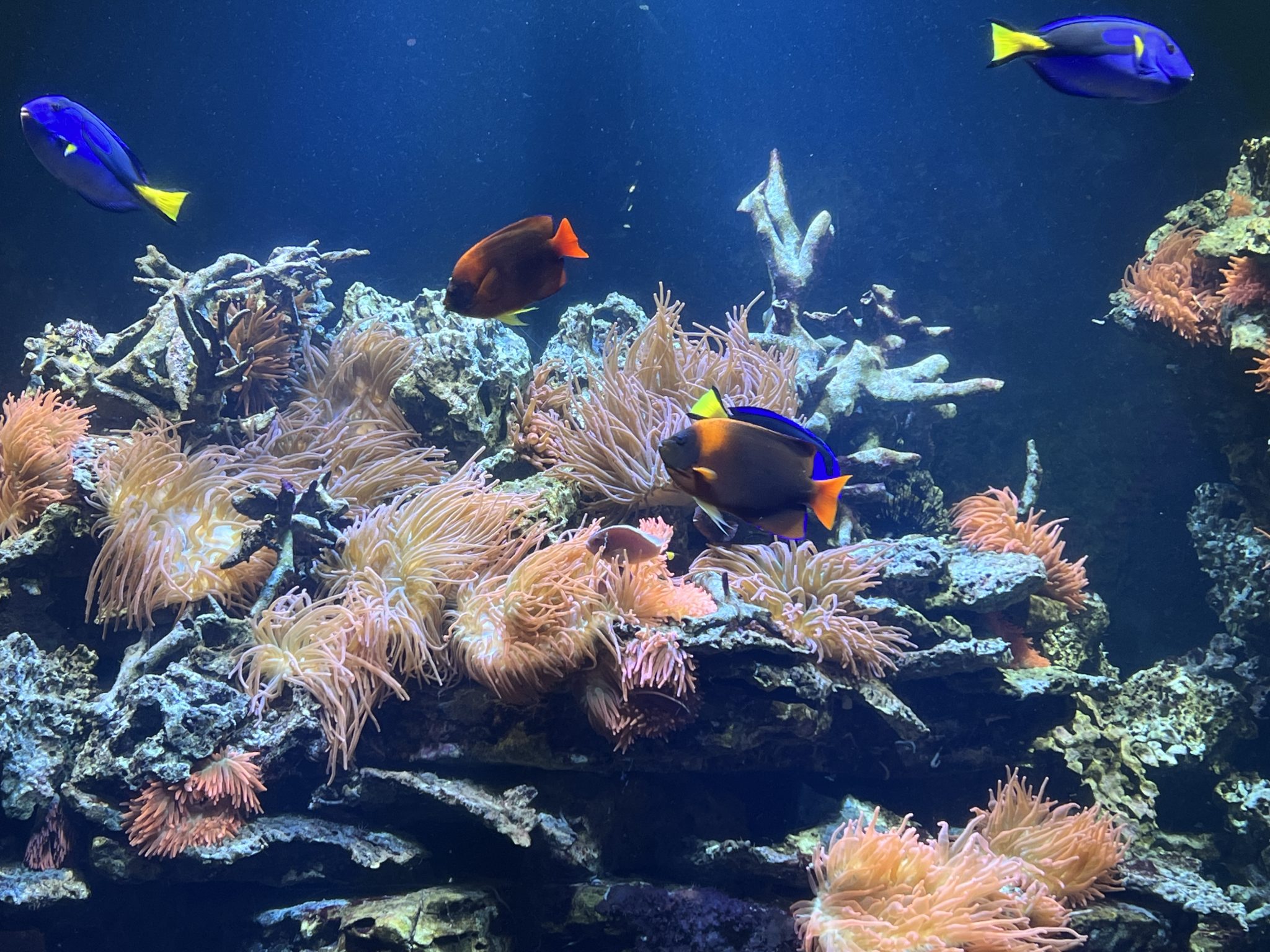 10 Ways to Explore the Long Island Aquarium in New York ...
