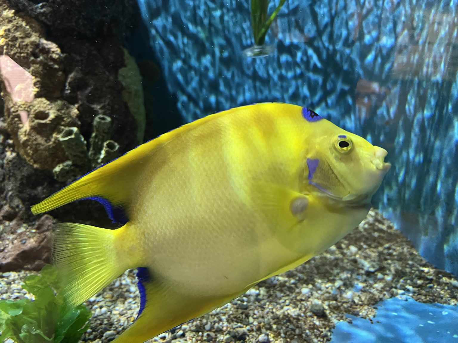 Five Ways to Explore the Woods Hole Science Aquarium on Cape Cod ...