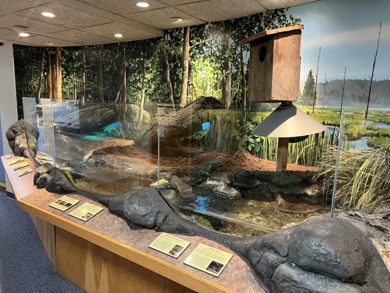 25 Ways to Love the Springfield Museums in Springfield, Massachusetts ...