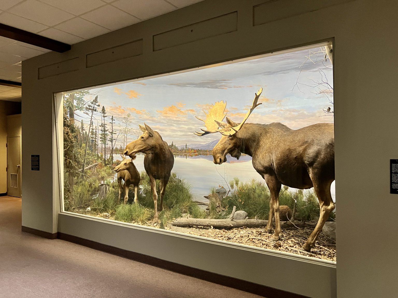 25 Ways to Love the Springfield Museums in Springfield, Massachusetts ...