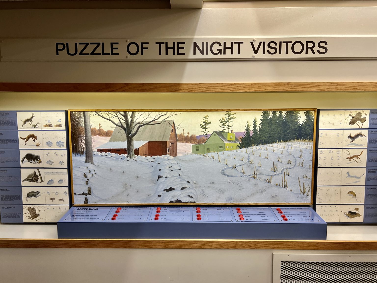 25 Ways to Love the Springfield Museums in Springfield, Massachusetts ...