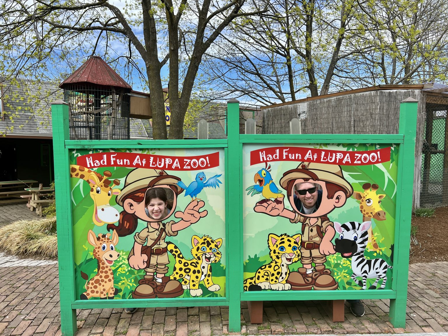Eight Ways to Have Fun at the Lupa Zoo in Springfield, MA ...