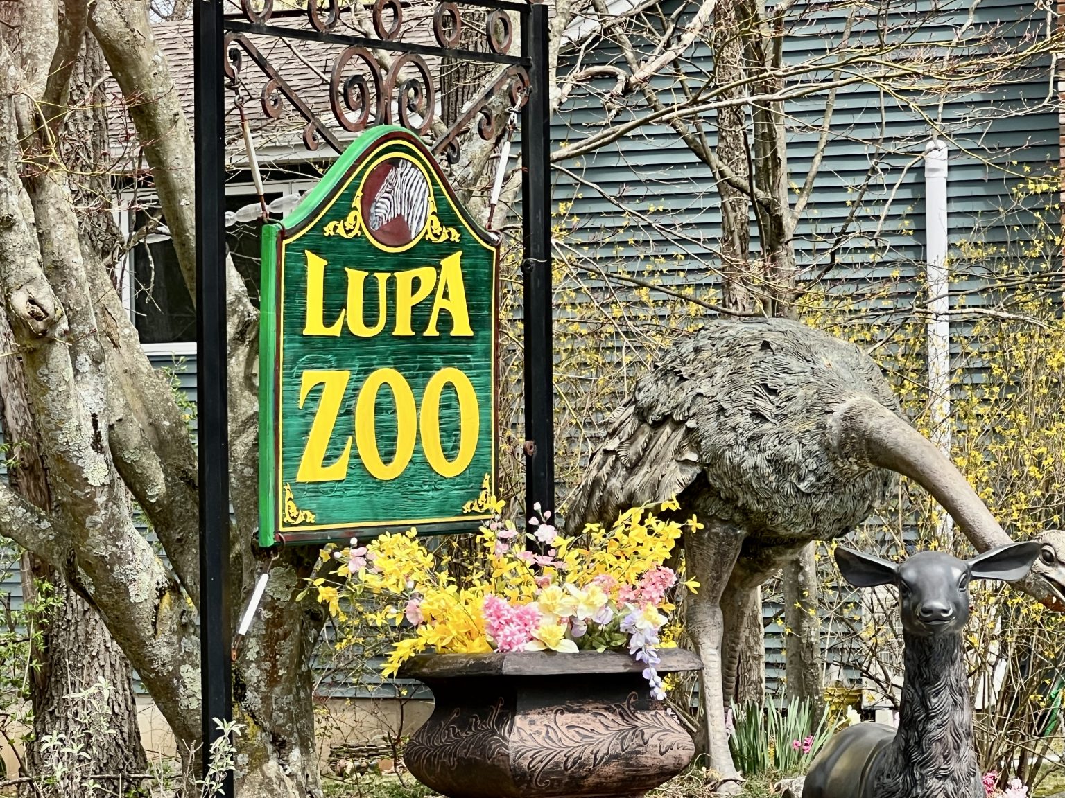 Eight Ways to Have Fun at the Lupa Zoo in Springfield, MA ...