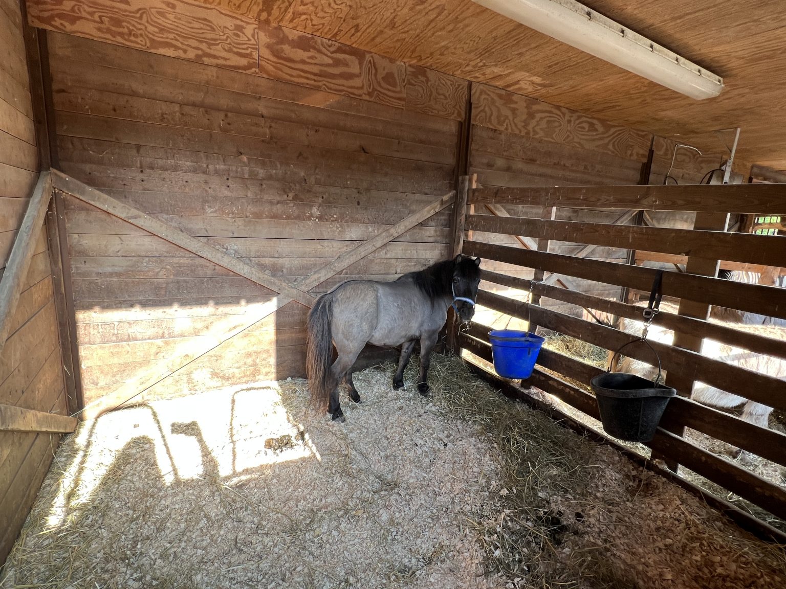 40 Ways to Have Fun this Summer at Rocking Horse Ranch Resort in NY ...