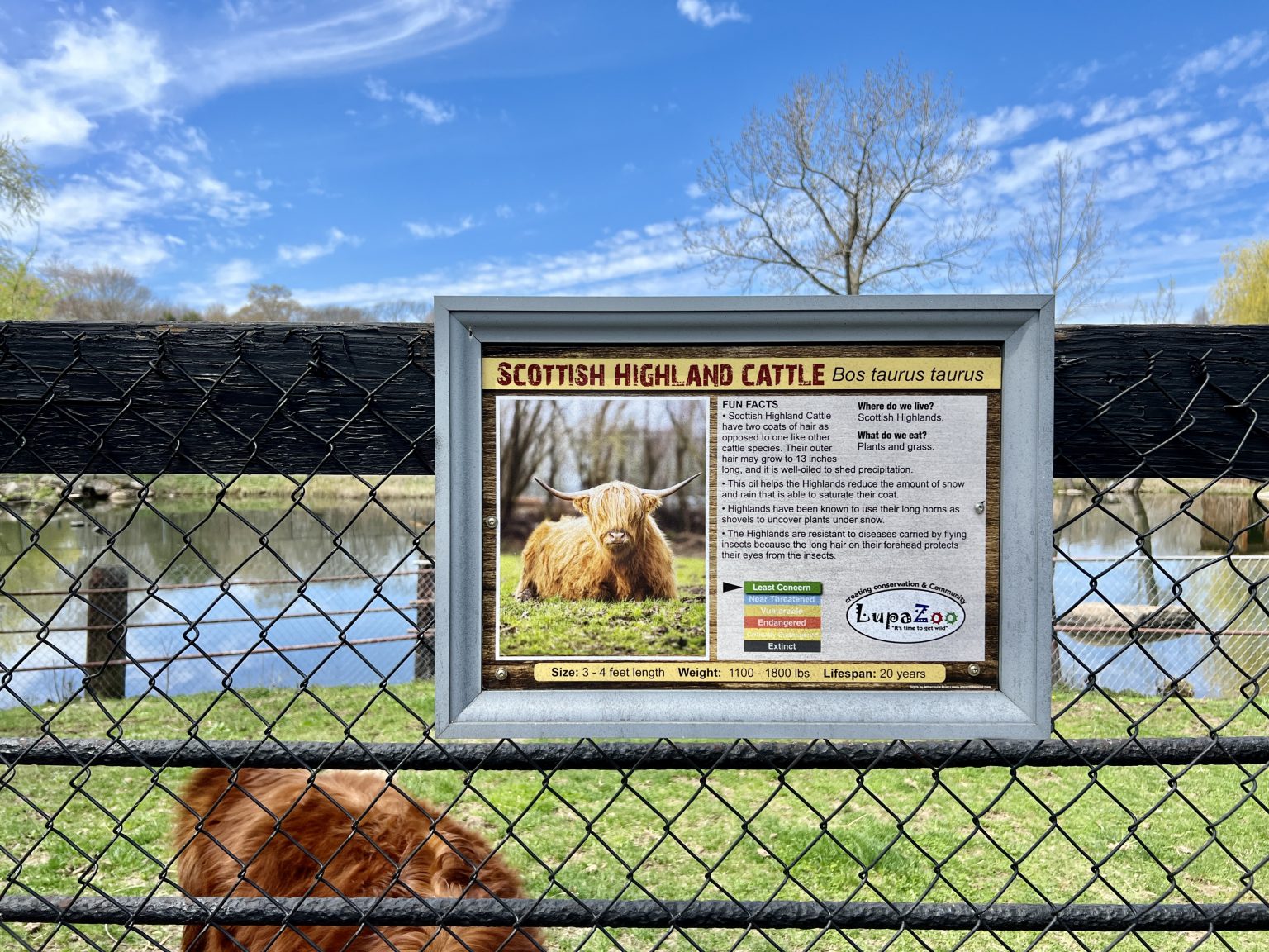 Eight Ways to Have Fun at the Lupa Zoo in Springfield, MA ...