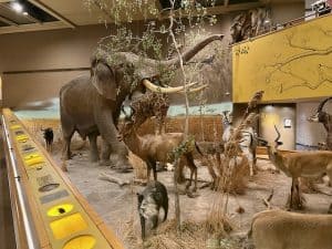 10 Family Friendly Attractions in Springfield, Massachusetts ...