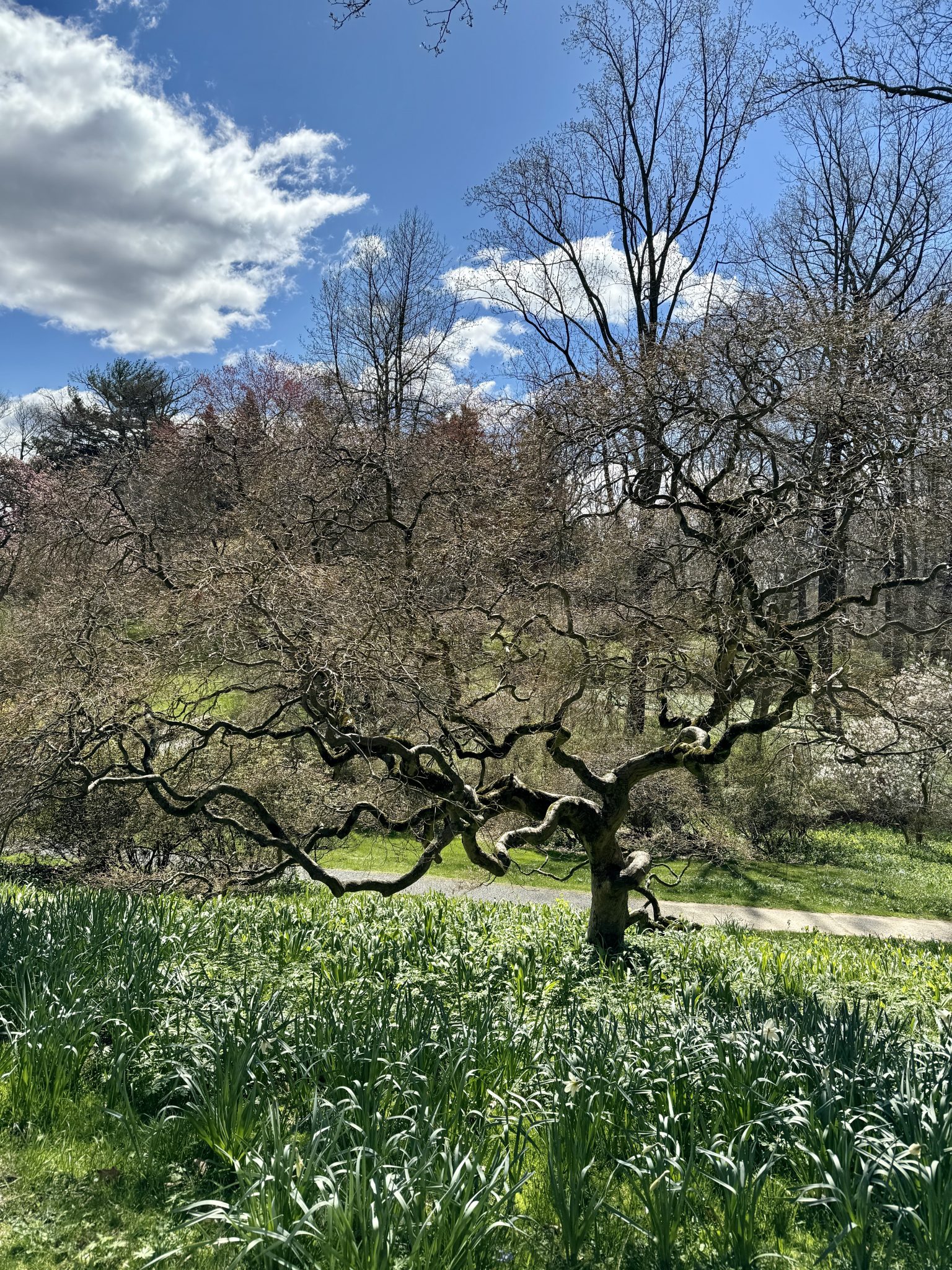 Nine Ways to Have Fun at Winterthur in Wilmington, Delaware ...