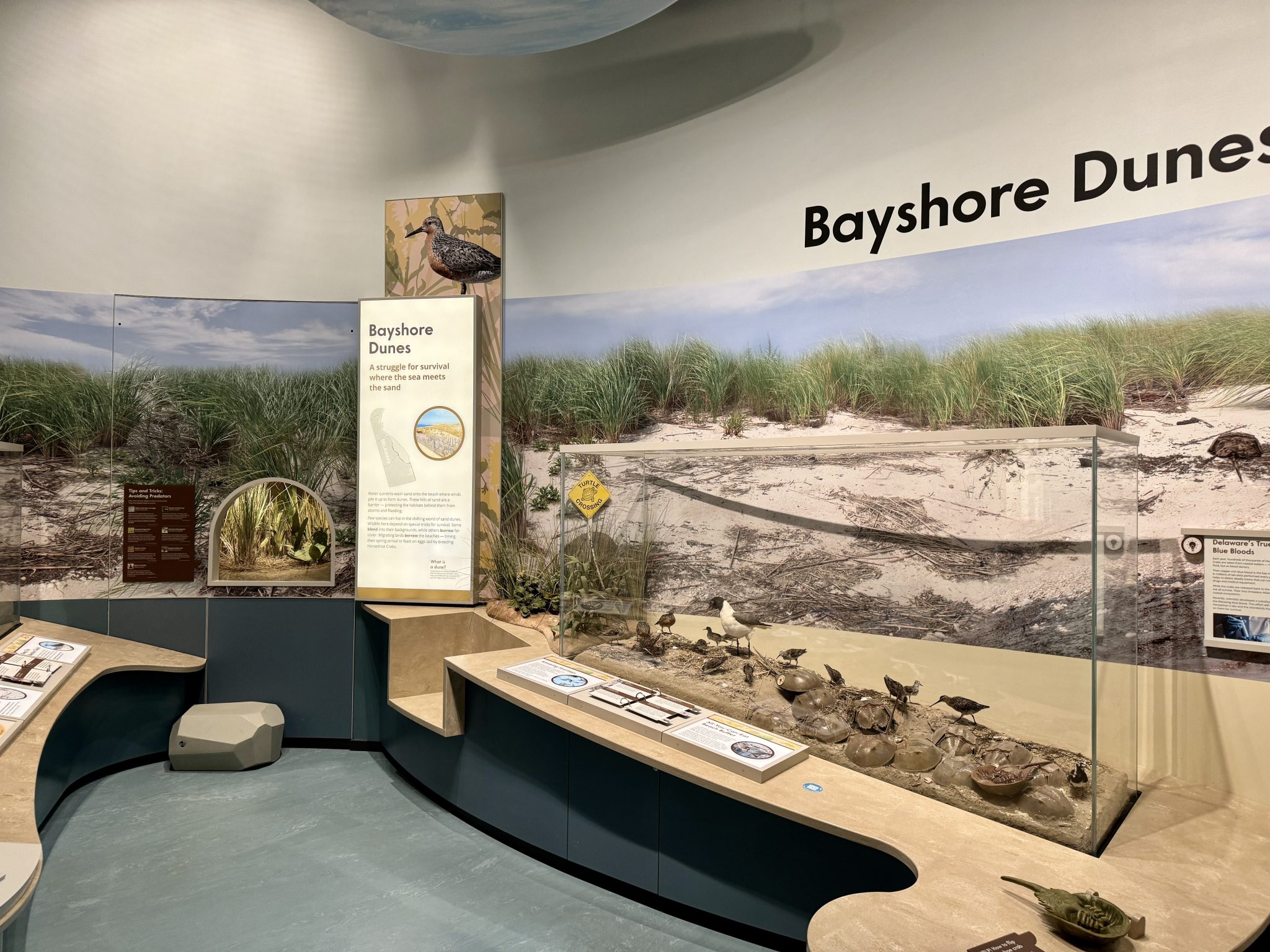 12 Things to Do at the Delaware Museum of Nature and Science ...