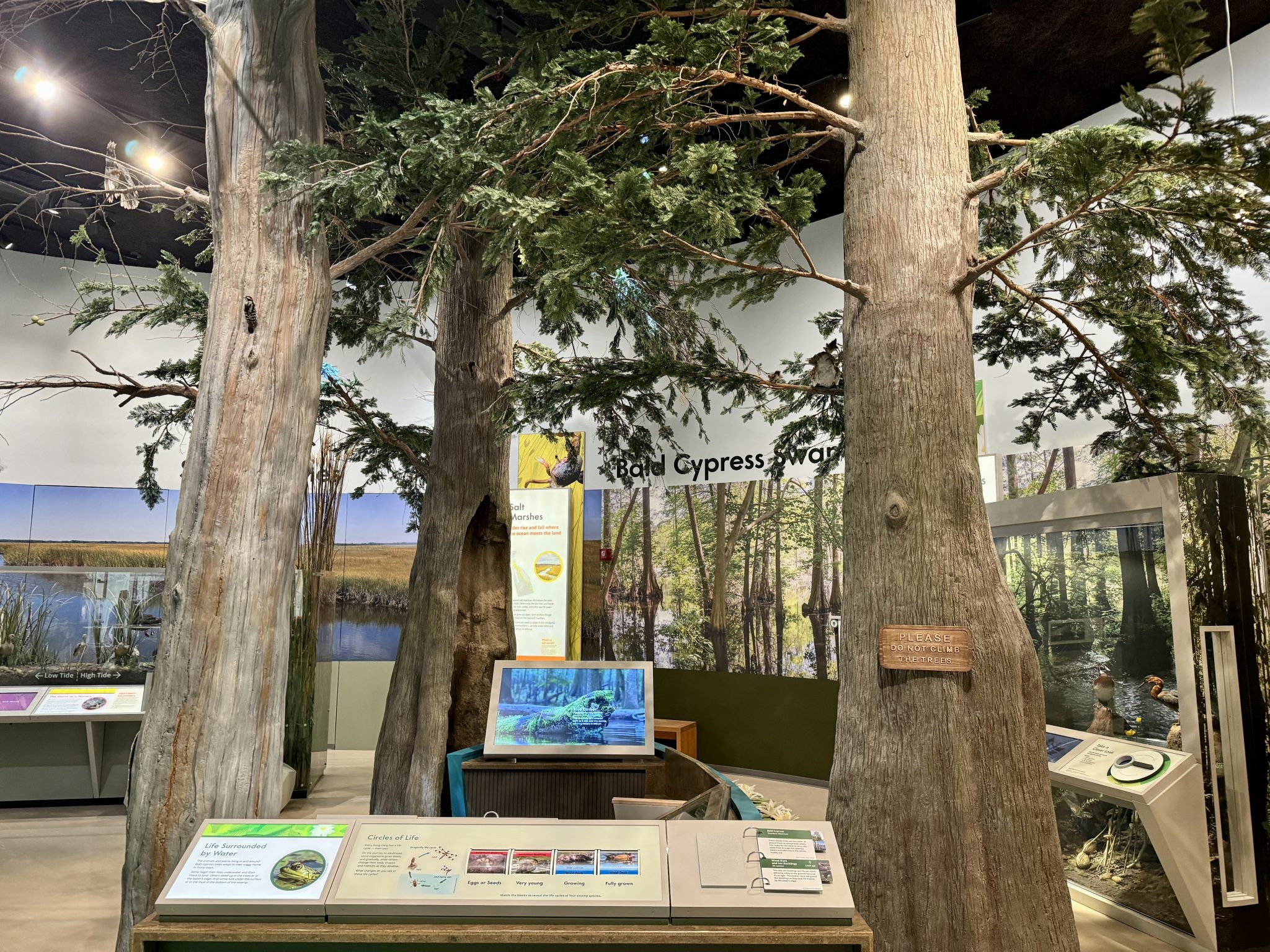 12 Things to Do at the Delaware Museum of Nature and Science ...