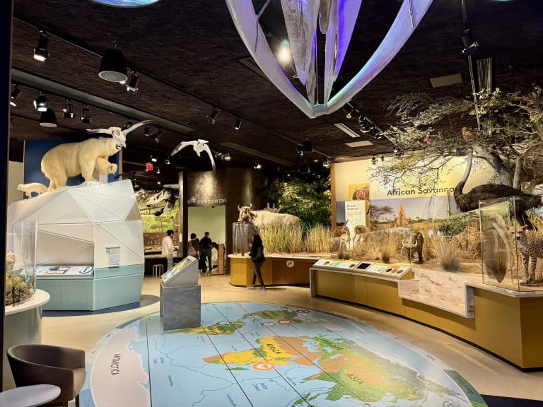 12 Things to Do at the Delaware Museum of Nature and Science ...